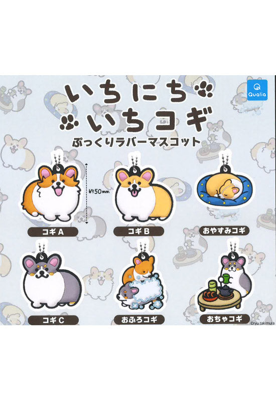 1 Day 1 Corgi Qualia Pukkuri Rubber Mascot (1 Random)